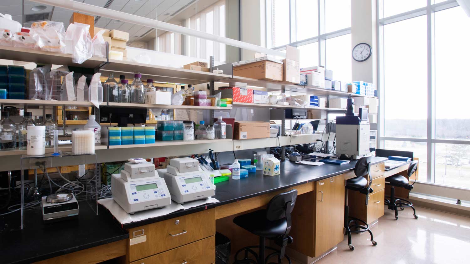 How to: prepare for your first day in the lab + what to expect ...