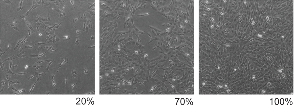 Cell culture assays – Scientia Research
